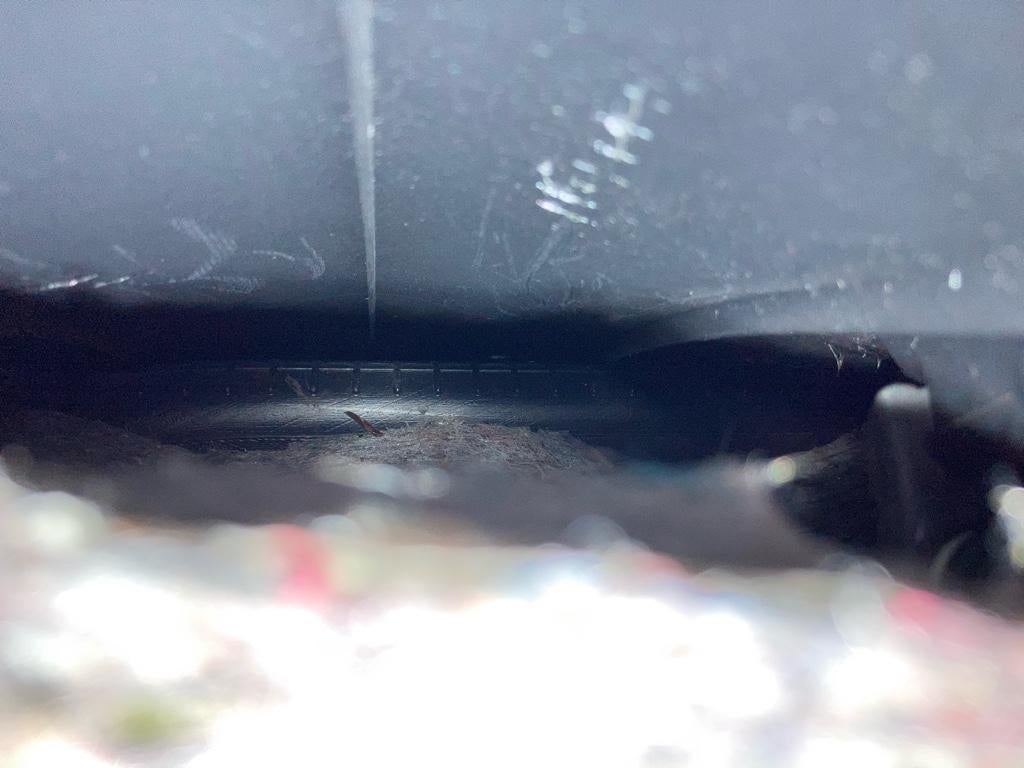 Rodents Restroom: Engine Bay | Toyota RAV4 Forums