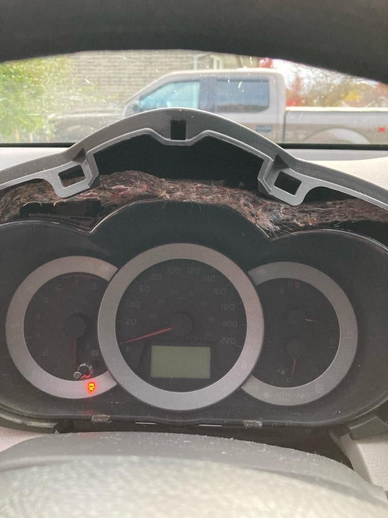 Rodents Restroom: Engine Bay | Toyota RAV4 Forums