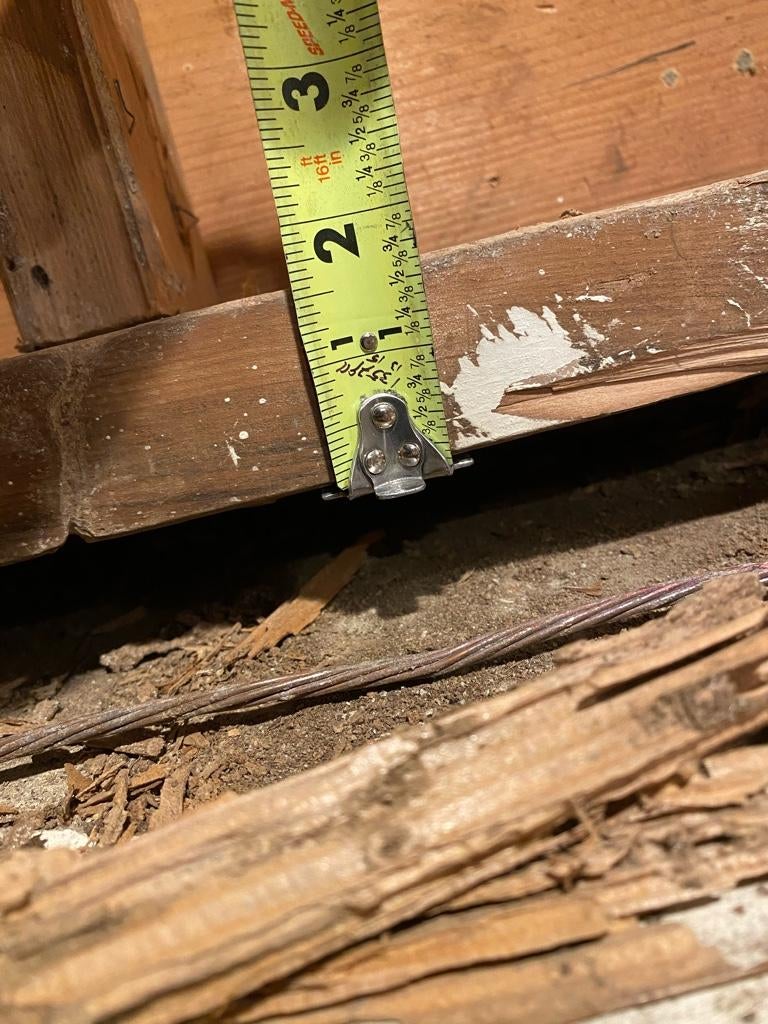 Mold/termite disaster | DIY Home Improvement Forum