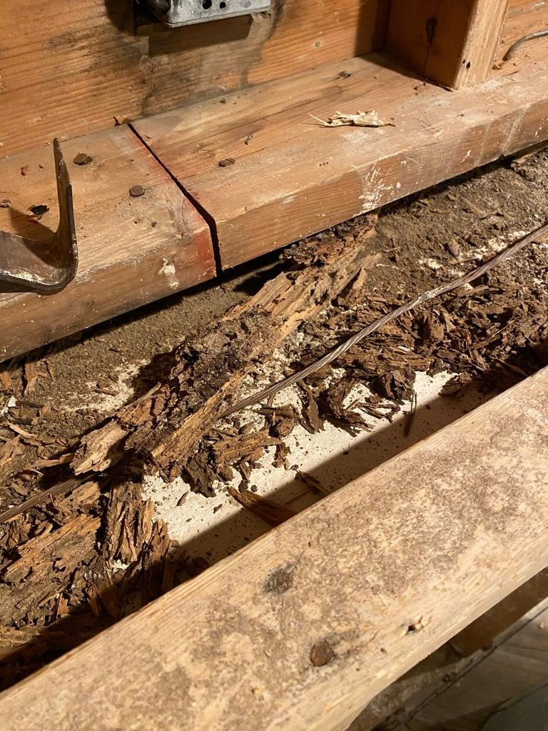 Mold/termite disaster | DIY Home Improvement Forum