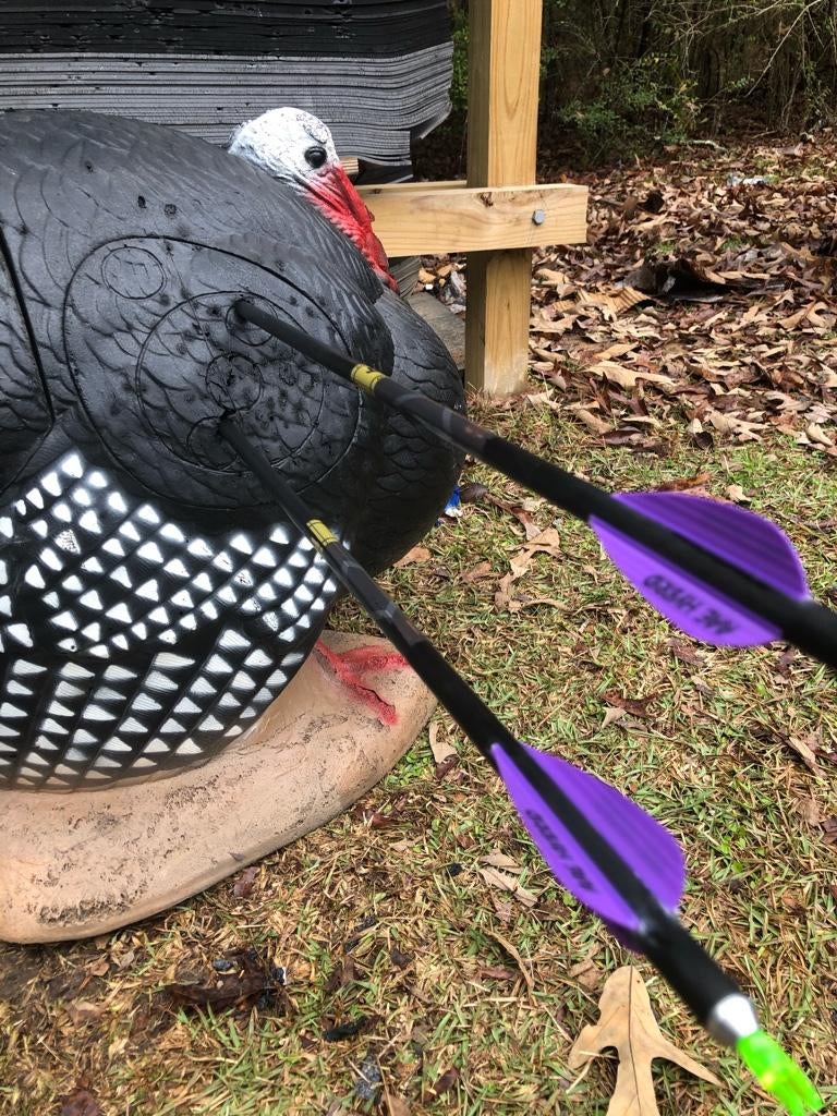 Vane color combos | Archery Talk Forum