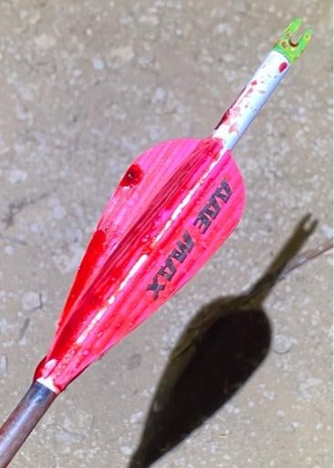 Vane color combos | Archery Talk Forum