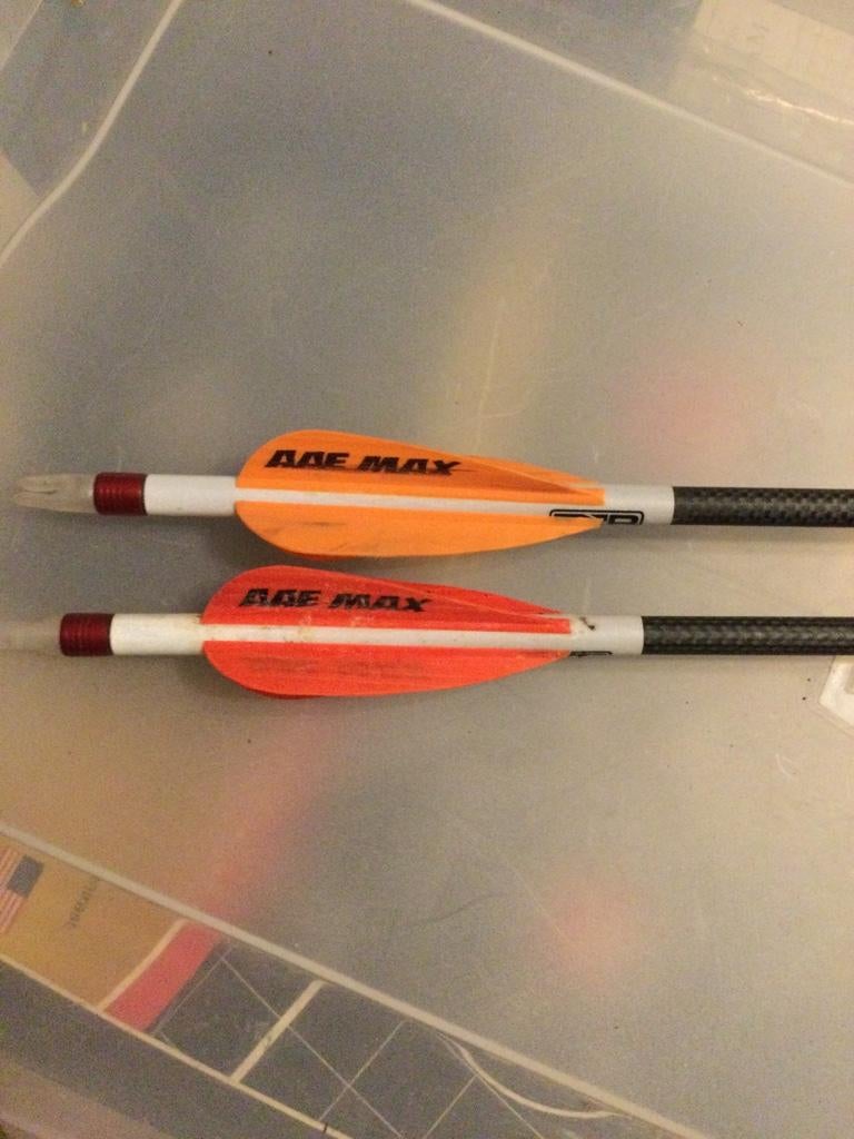 AAE vane color | Archery Talk Forum