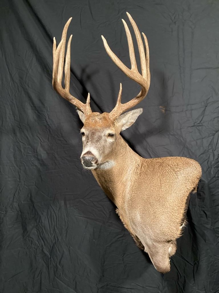 Your Mounts | Archery Talk Forum