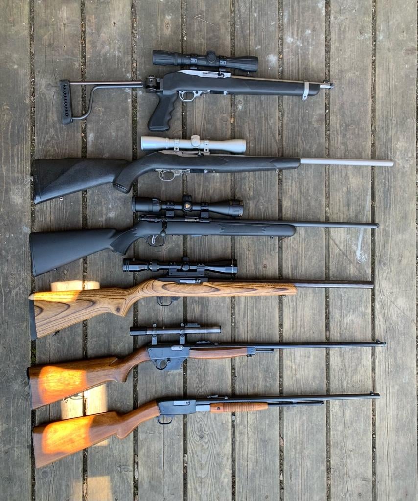 Rimfire rifles | Colt Forum