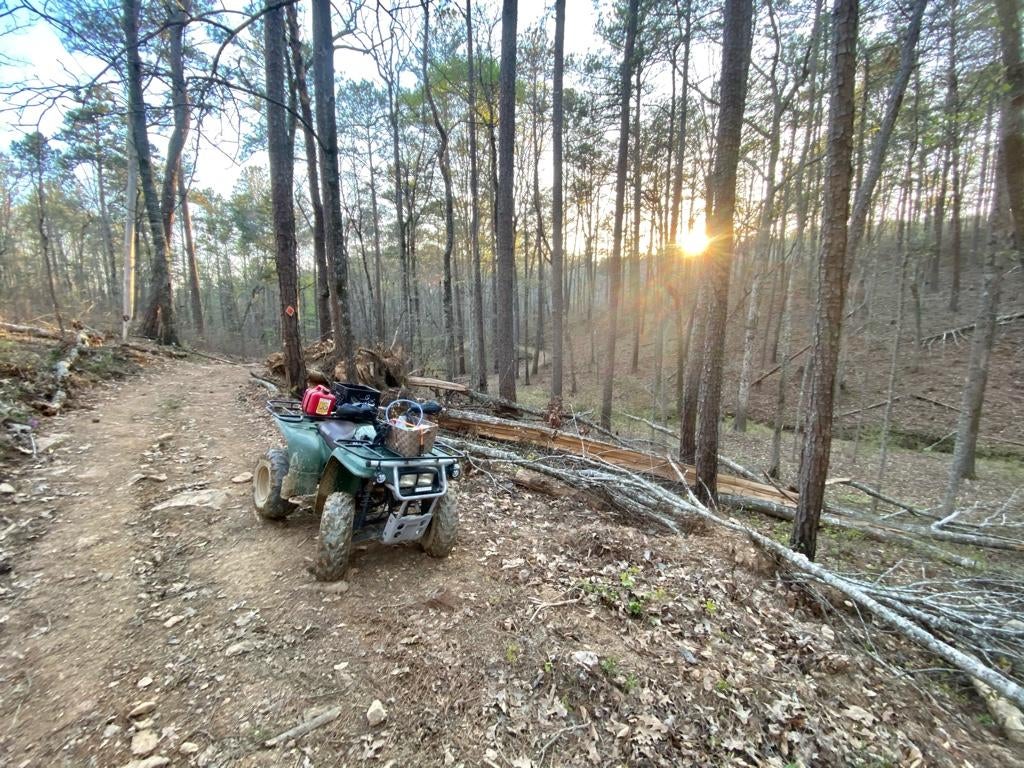 Timberwolf Decals | Yamaha Grizzly ATV Forum