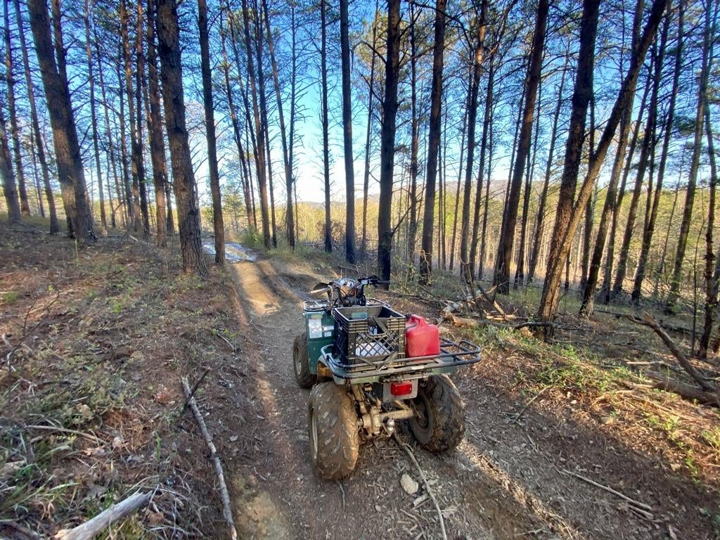 Timberwolf Decals | Yamaha Grizzly ATV Forum