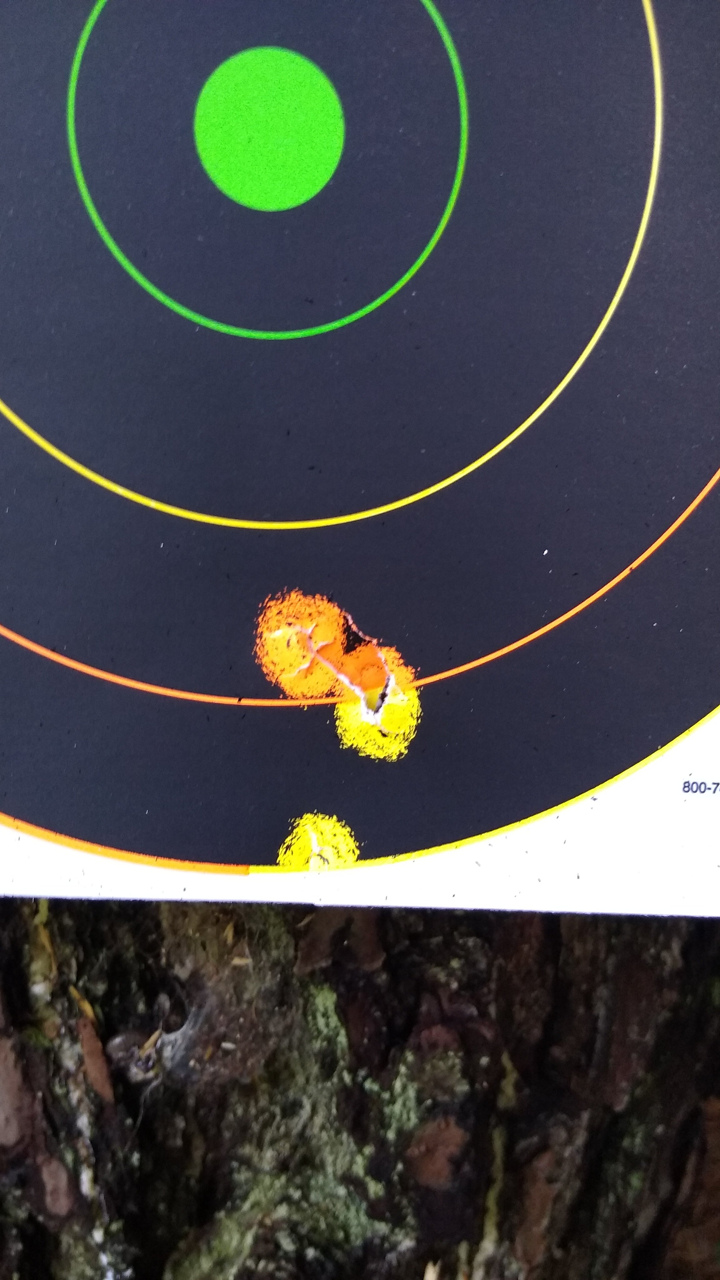 CMP Daisy M853C On Order | Rimfire Central Firearm Forum