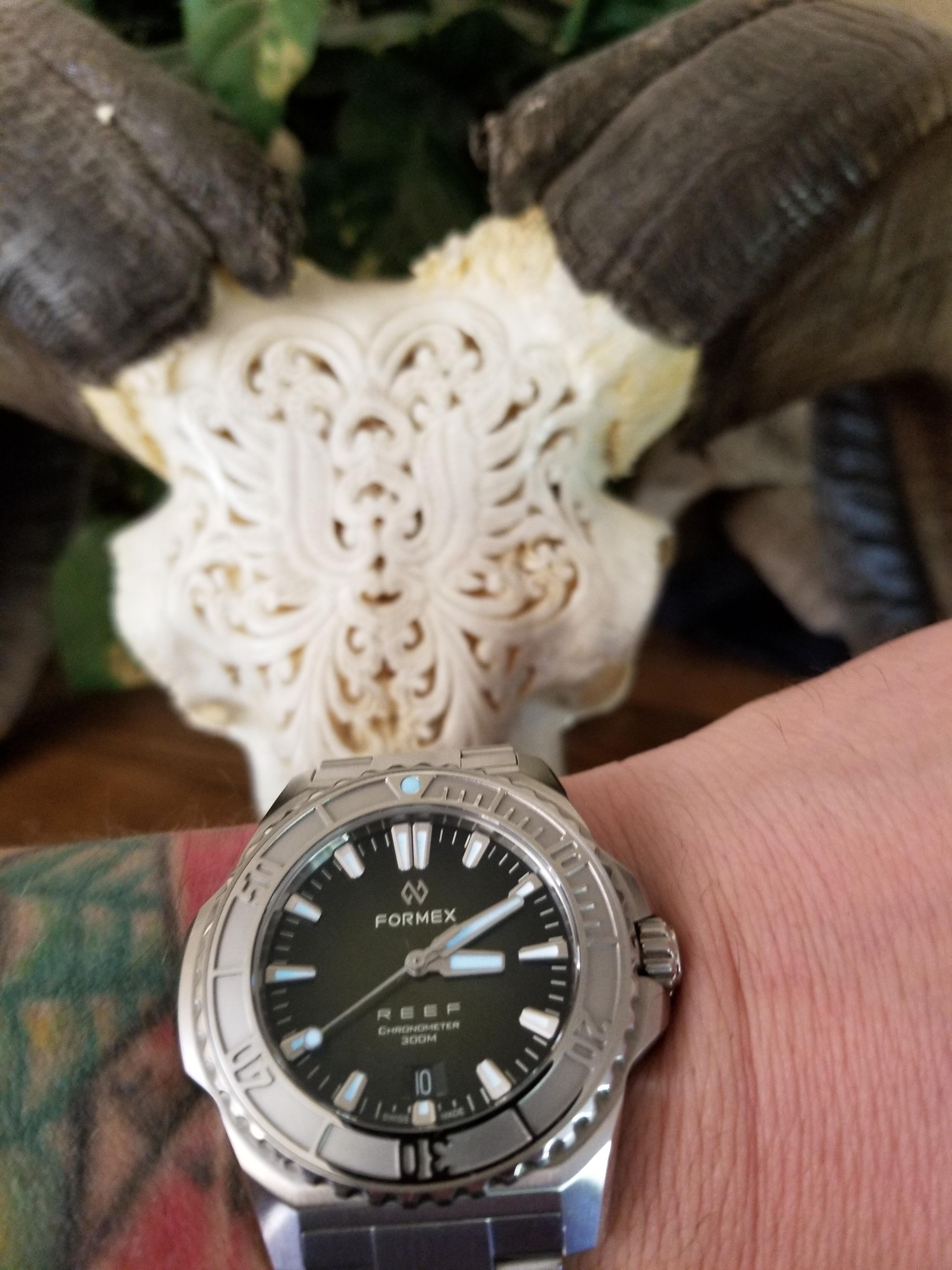 Formex COSC Reef , full kit. | WatchUSeek Watch Forums