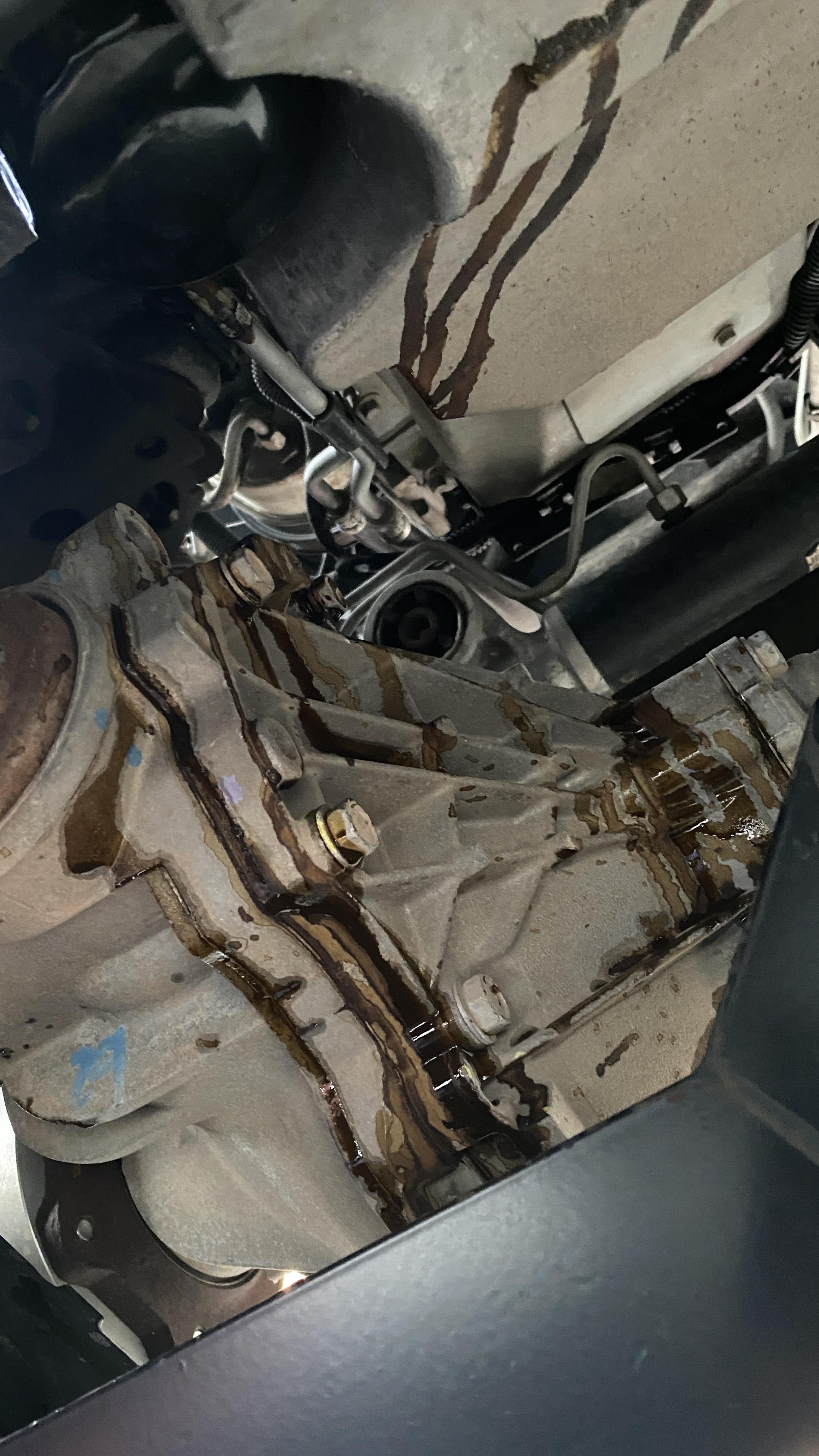 Leaking motor mount??? | GMC Truck Forum