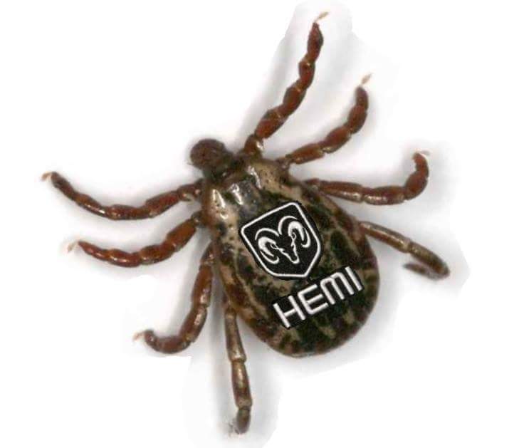 So what IS a Hemi Tick??? | DODGE RAM FORUM