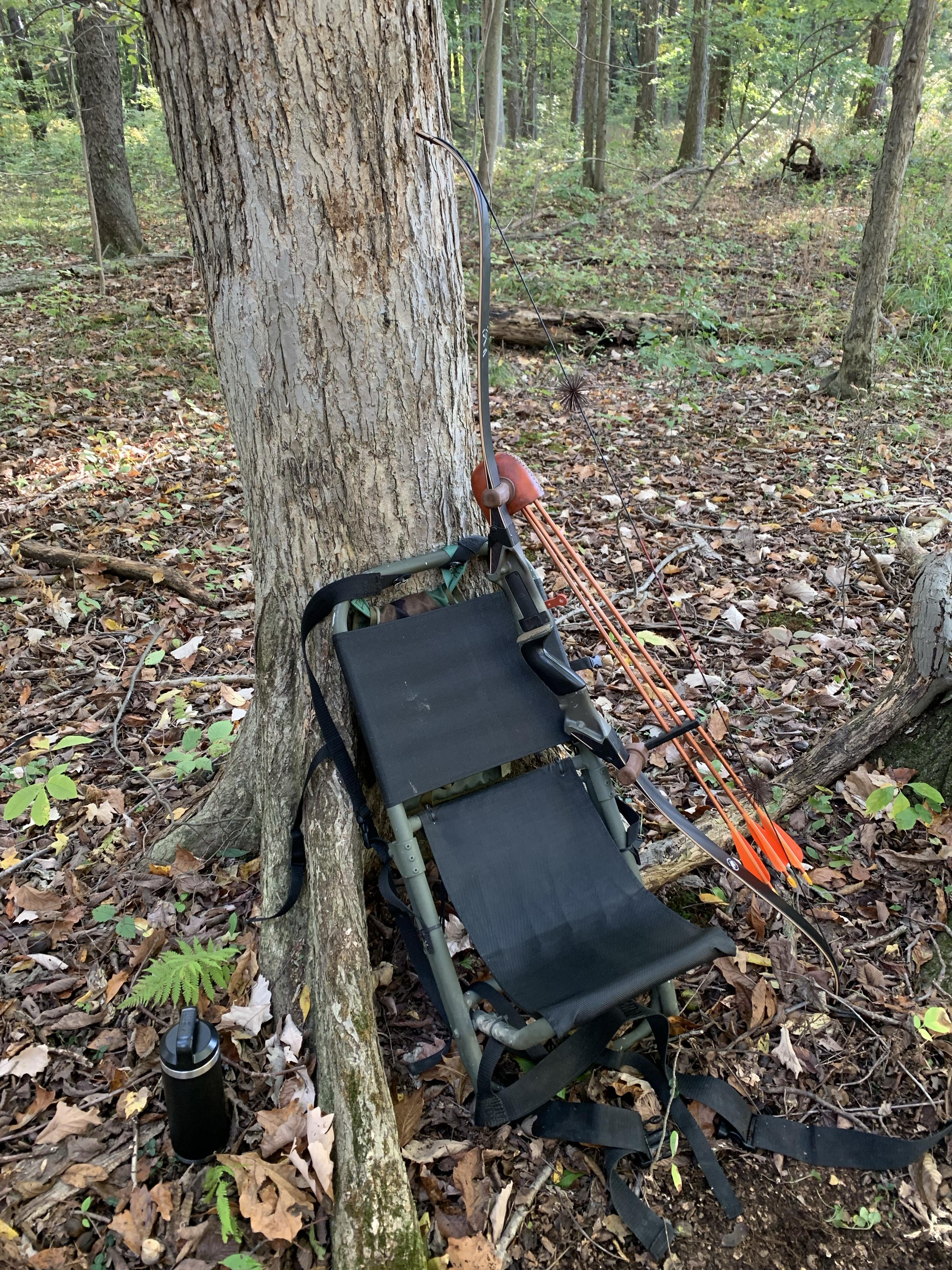 The lowest weight hunting stool with back rest money no object ...