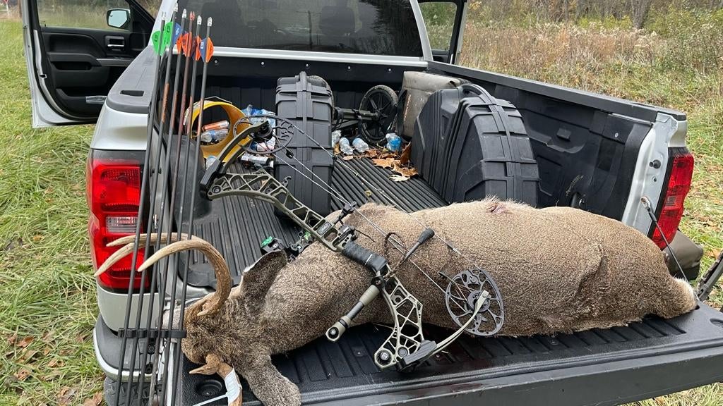 Any bow hunters here ever hunt Rend Lake Illinois | Archery Talk Forum