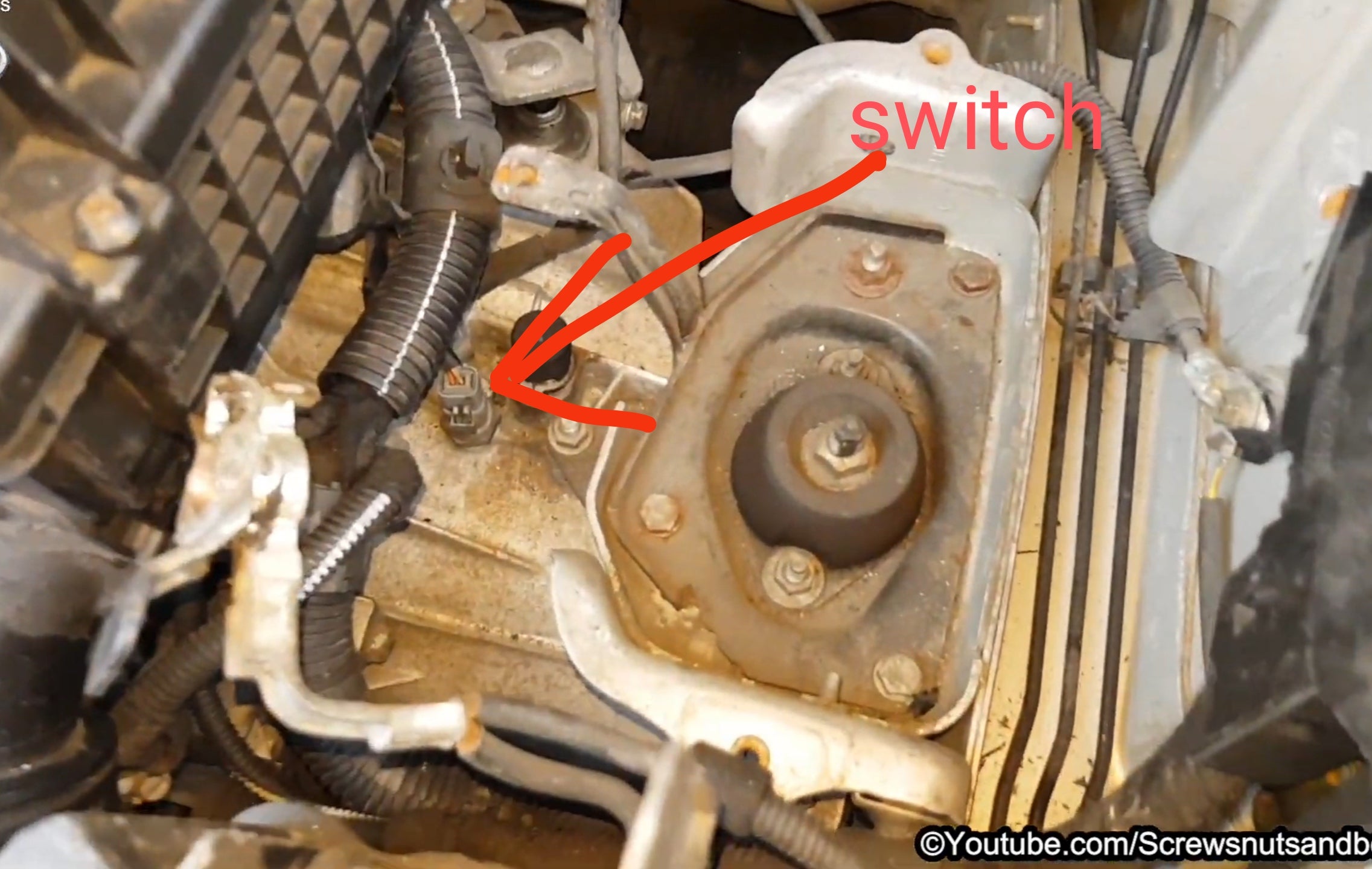 Reverse light cable | Peugeot Forums