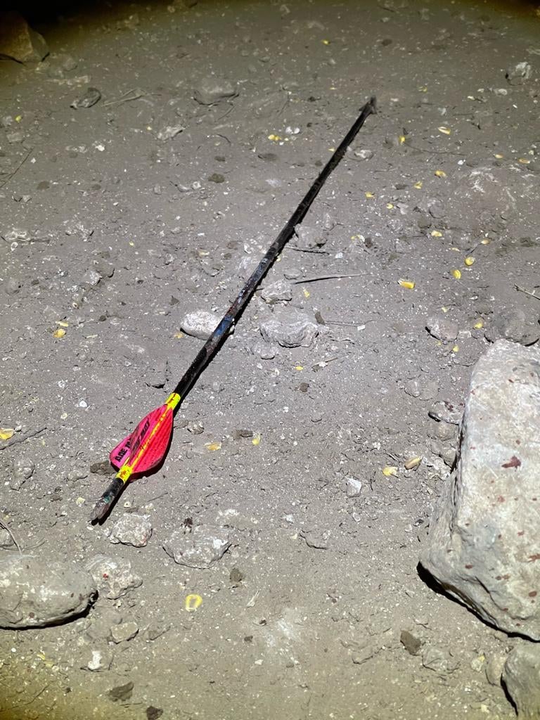 Vane colors for hunting | Page 3 | Archery Talk Forum