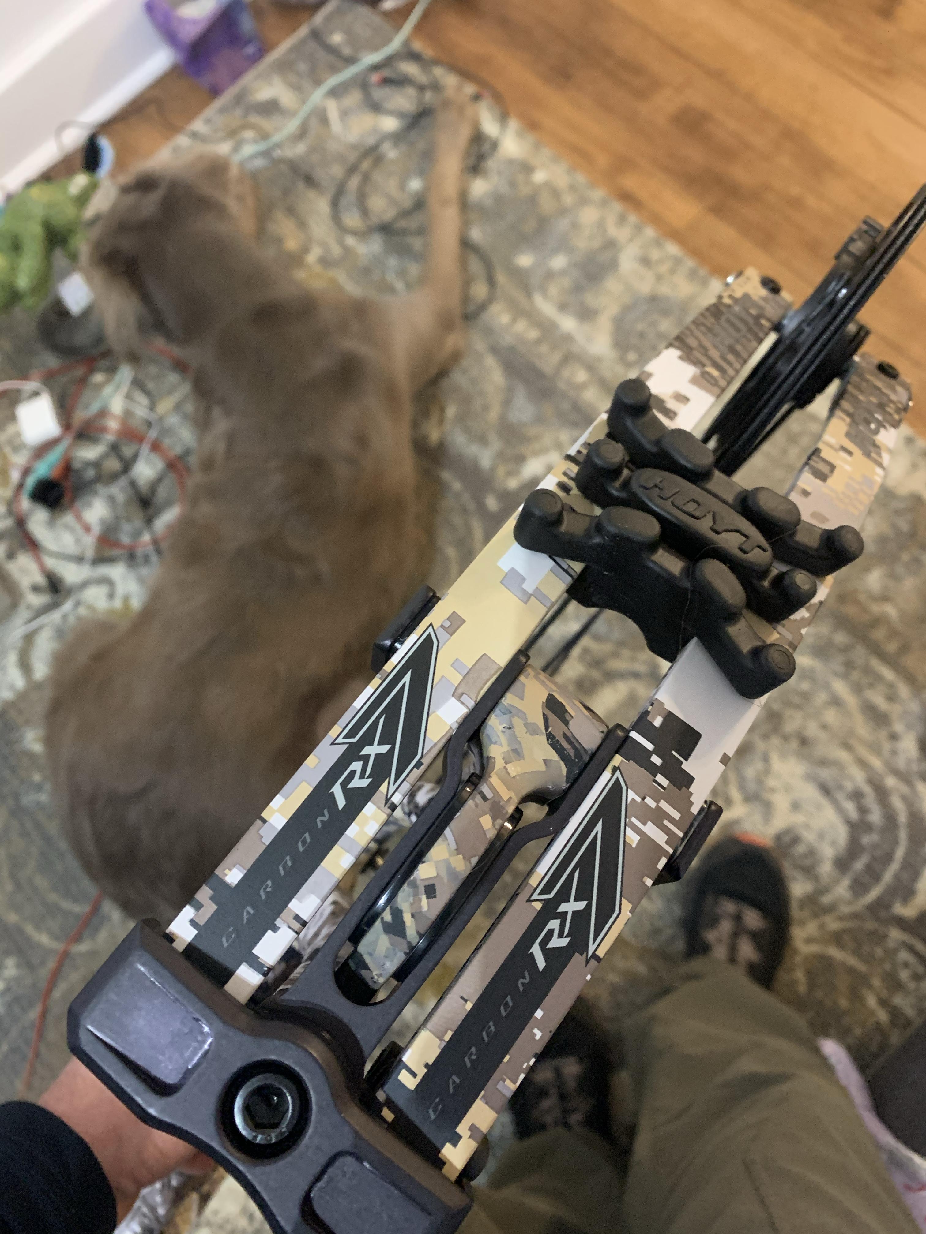 Hoyt RX7 Ultra WOW ! Tune breakdown etc... | Archery Talk Forum