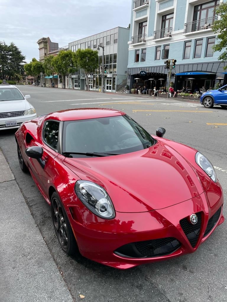 Biscotti & Cars - @poggio Marin CA | Alfa Romeo Forums