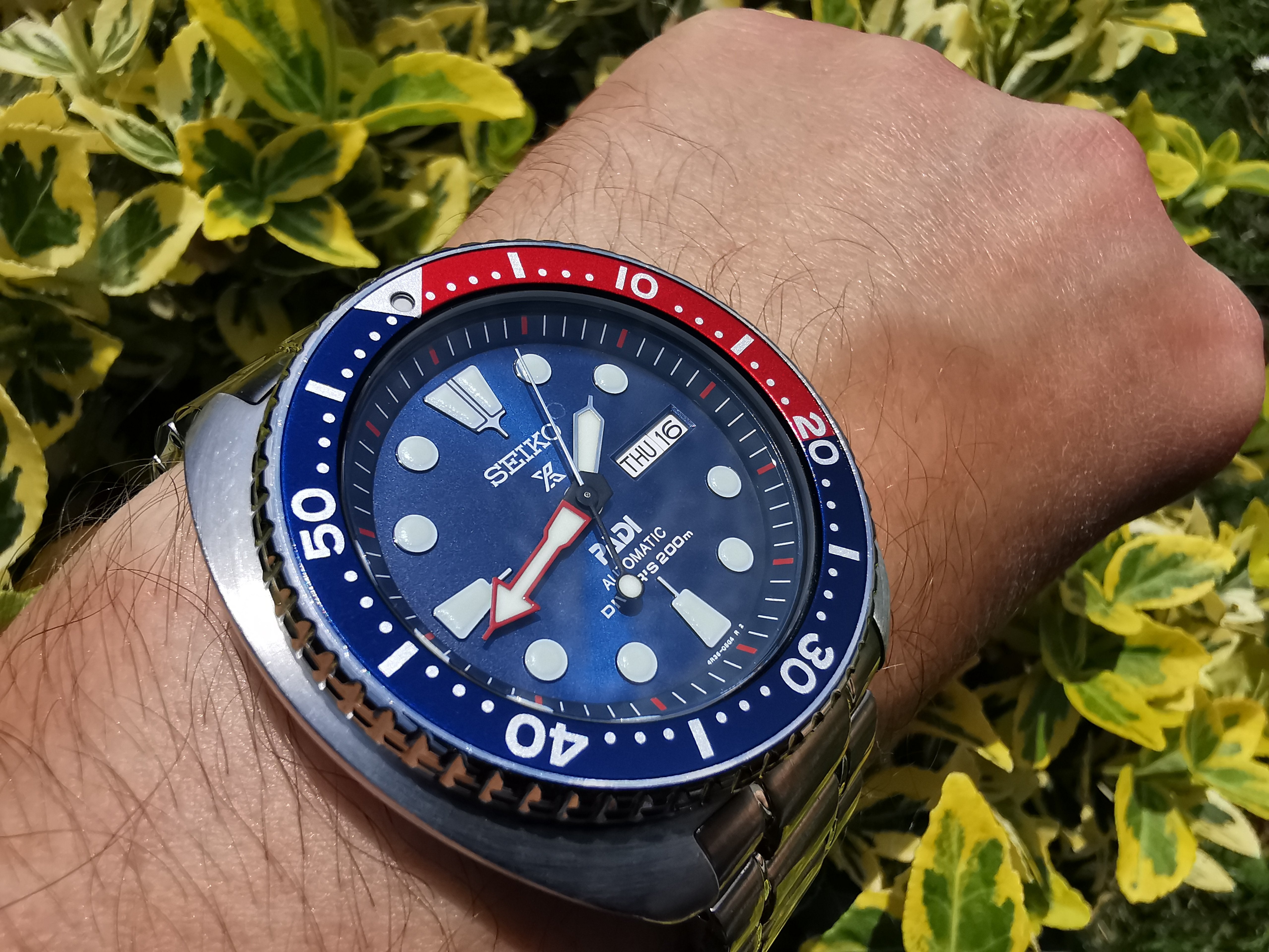 Watches and nature. | WatchUSeek Watch Forums
