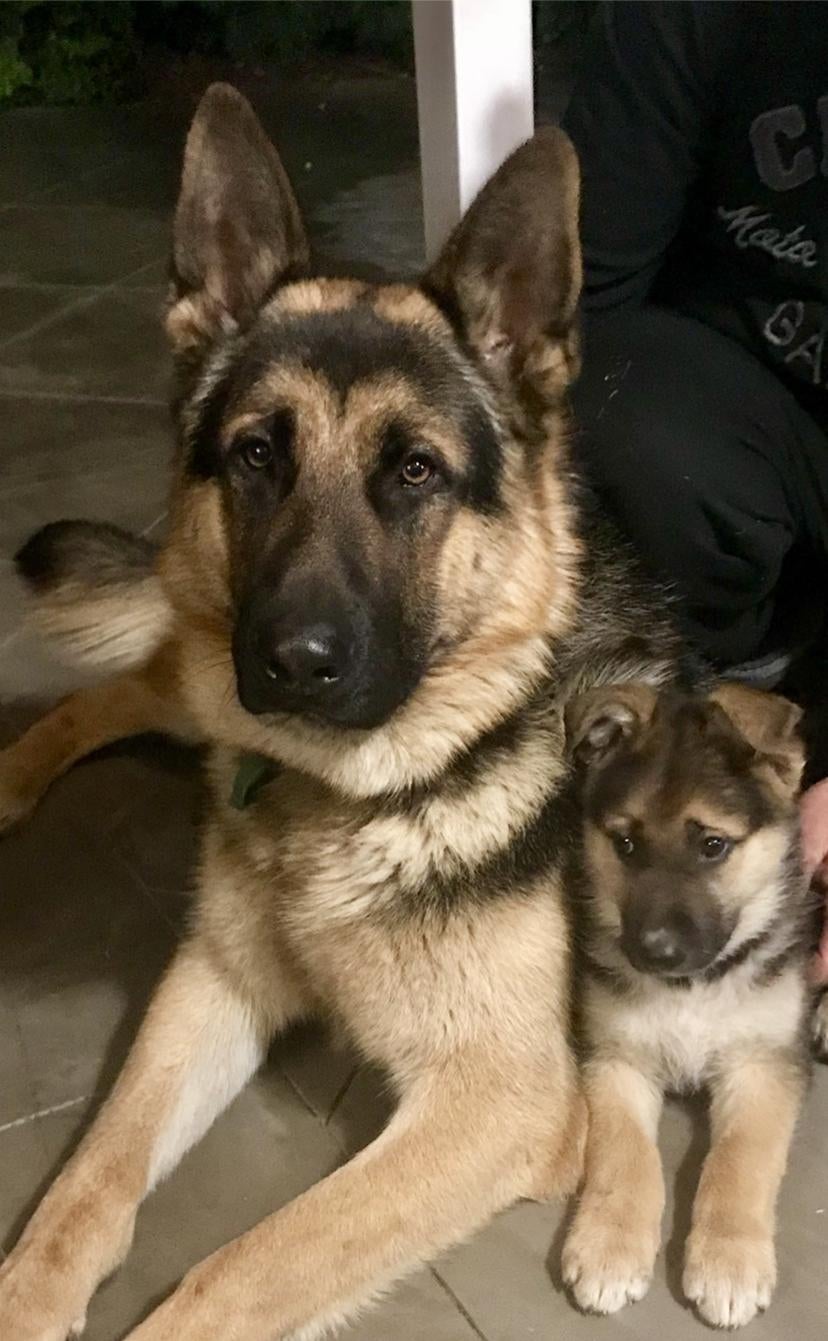 MEET SABBY Middle Name Iommi | Mercedes-Benz Forum