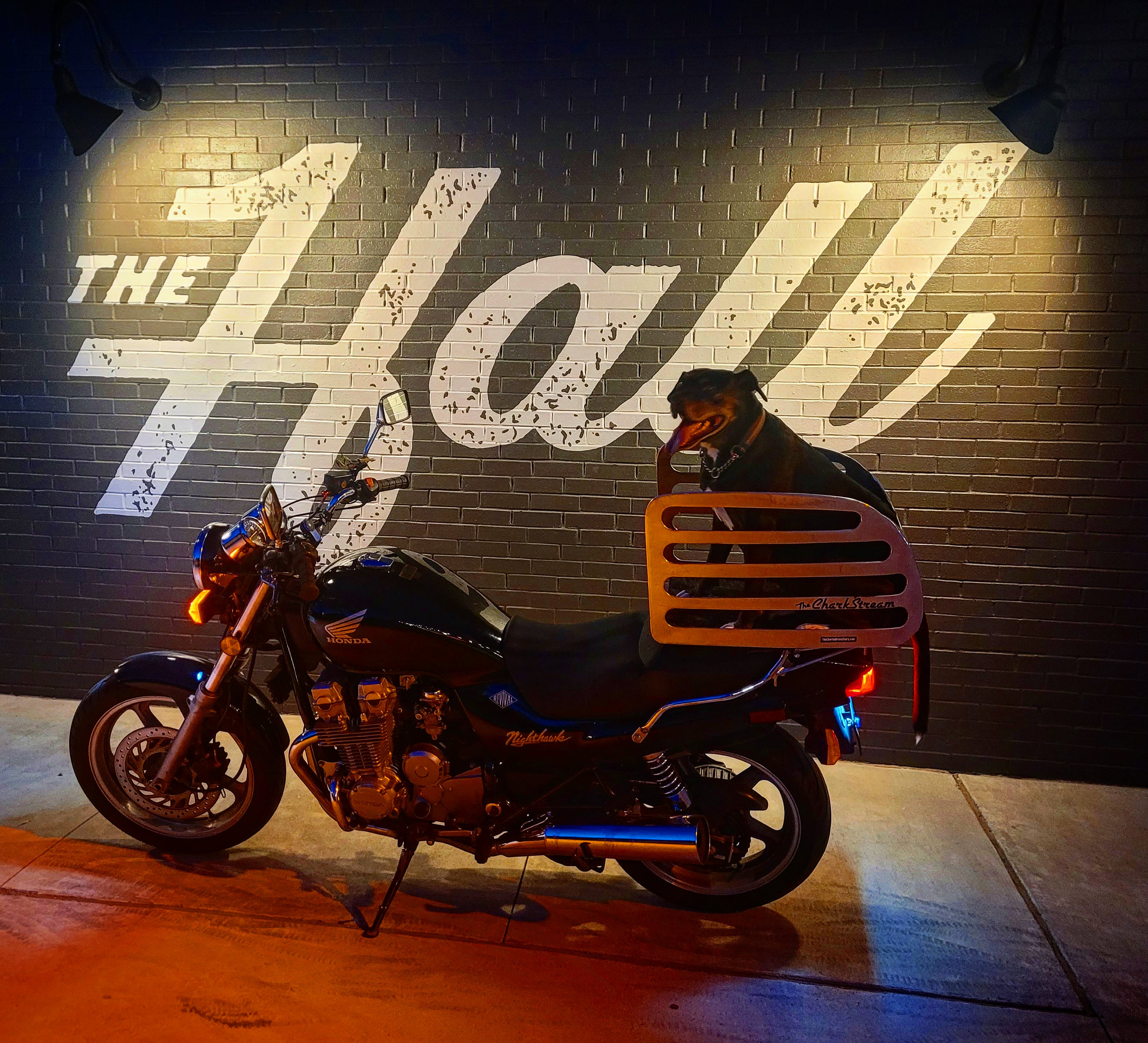 Official Nighthawk thread | Page 302 | Adventure Rider