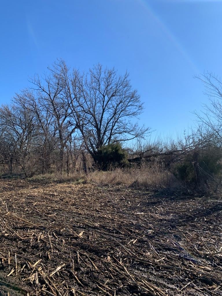 Ground Blind Fool Proof Cover | Archery Talk Forum