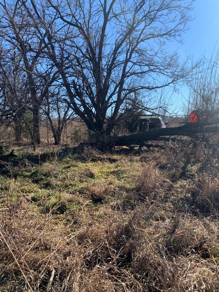 Ground Blind Fool Proof Cover | Archery Talk Forum