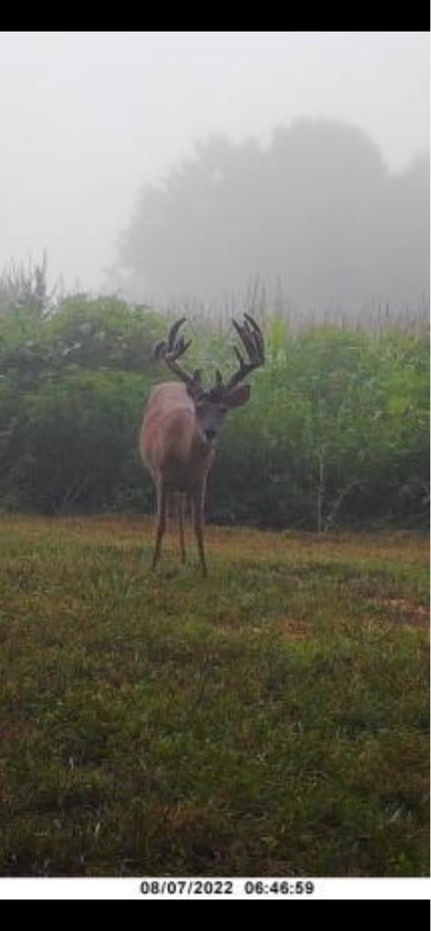 TEAM #1 - DEER FORCE ONE | Archery Talk Forum