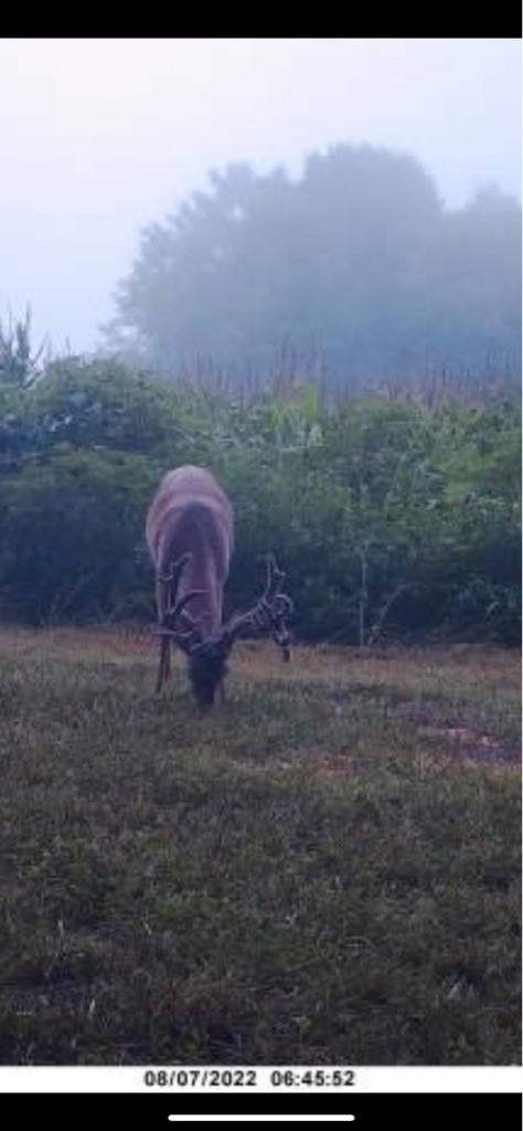 TEAM #1 - DEER FORCE ONE | Archery Talk Forum