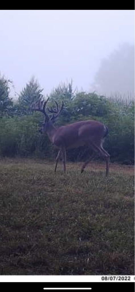 TEAM #1 - DEER FORCE ONE | Archery Talk Forum