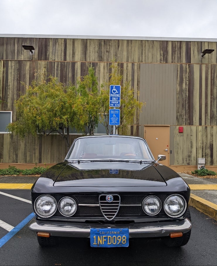 Biscotti & Cars - @poggio Marin CA | Alfa Romeo Forums