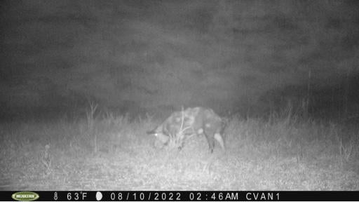 TEAM #1 - DEER FORCE ONE | Page 5 | Archery Talk Forum