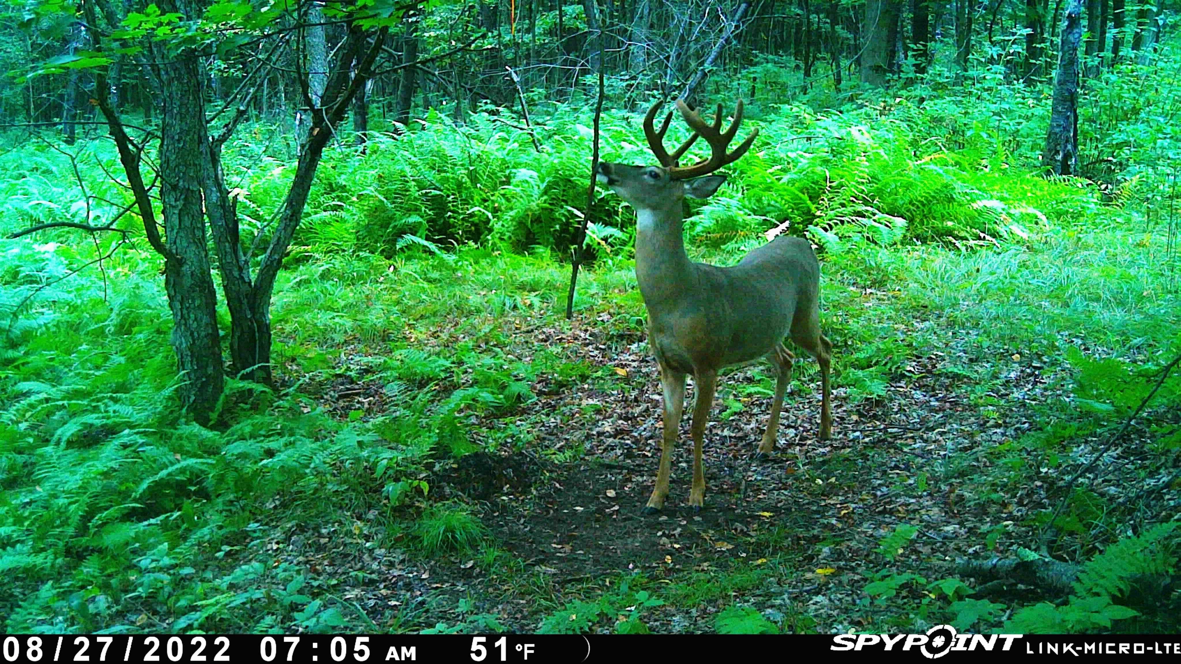 2022-23 THE Pennsylvania Thread *** | Page 57 | Archery Talk Forum