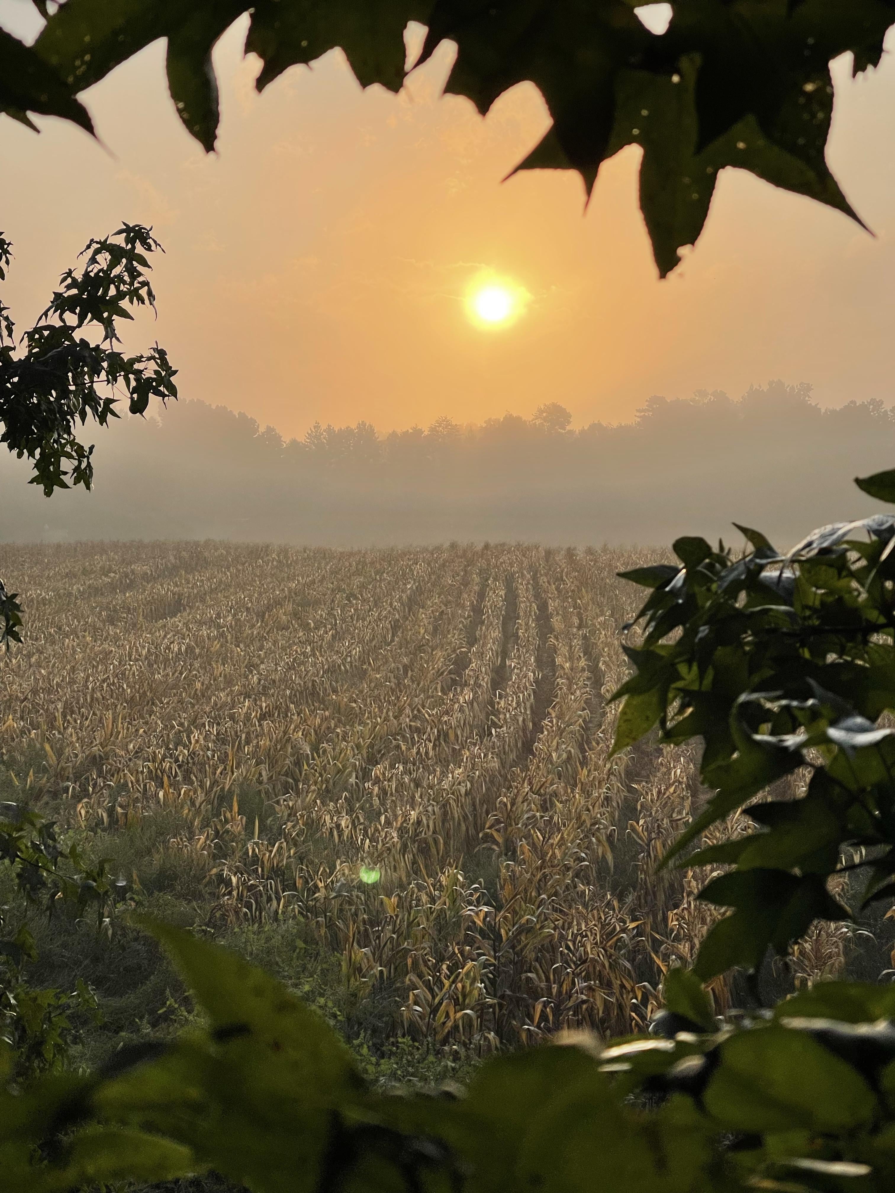 TEAM #1 - DEER FORCE ONE | Page 13 | Archery Talk Forum