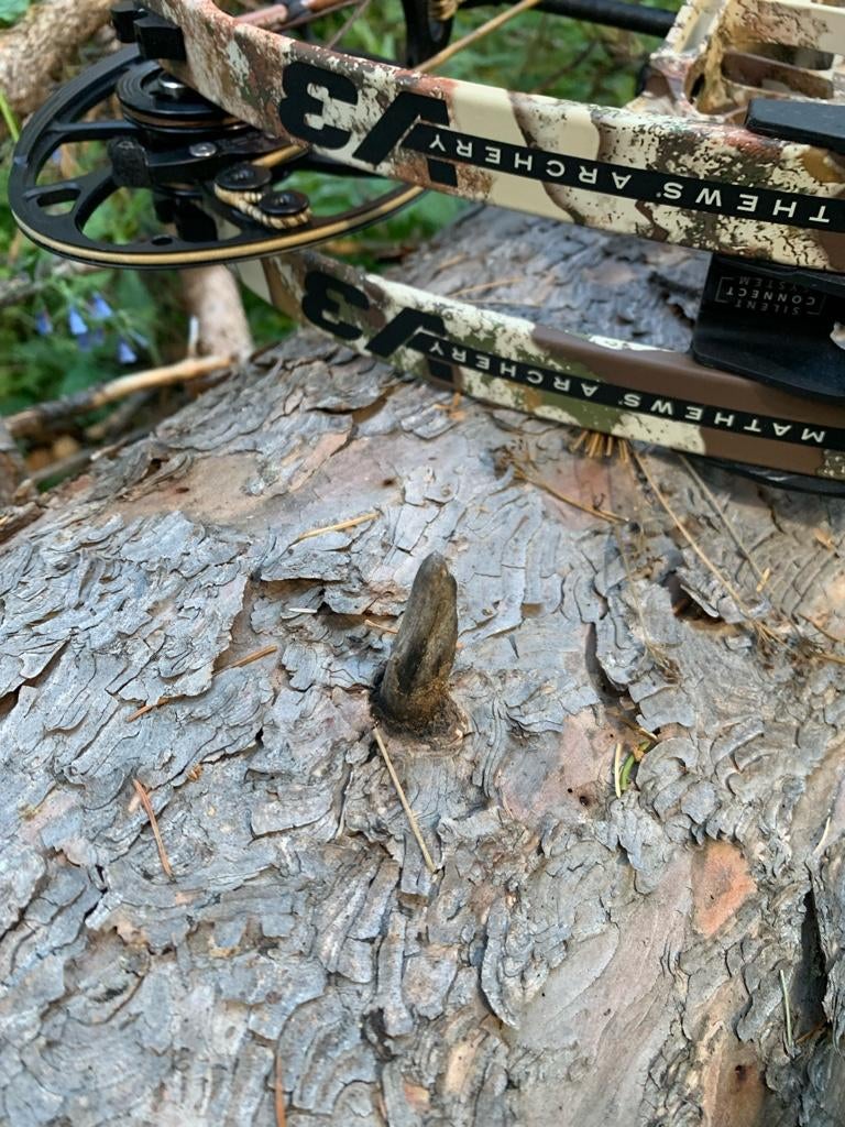 TEAM #1 - DEER FORCE ONE | Page 14 | Archery Talk Forum