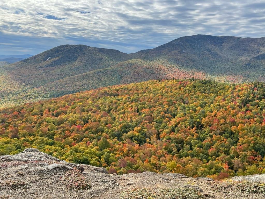 2022-23 THE Pennsylvania Thread *** | Page 84 | Archery Talk Forum