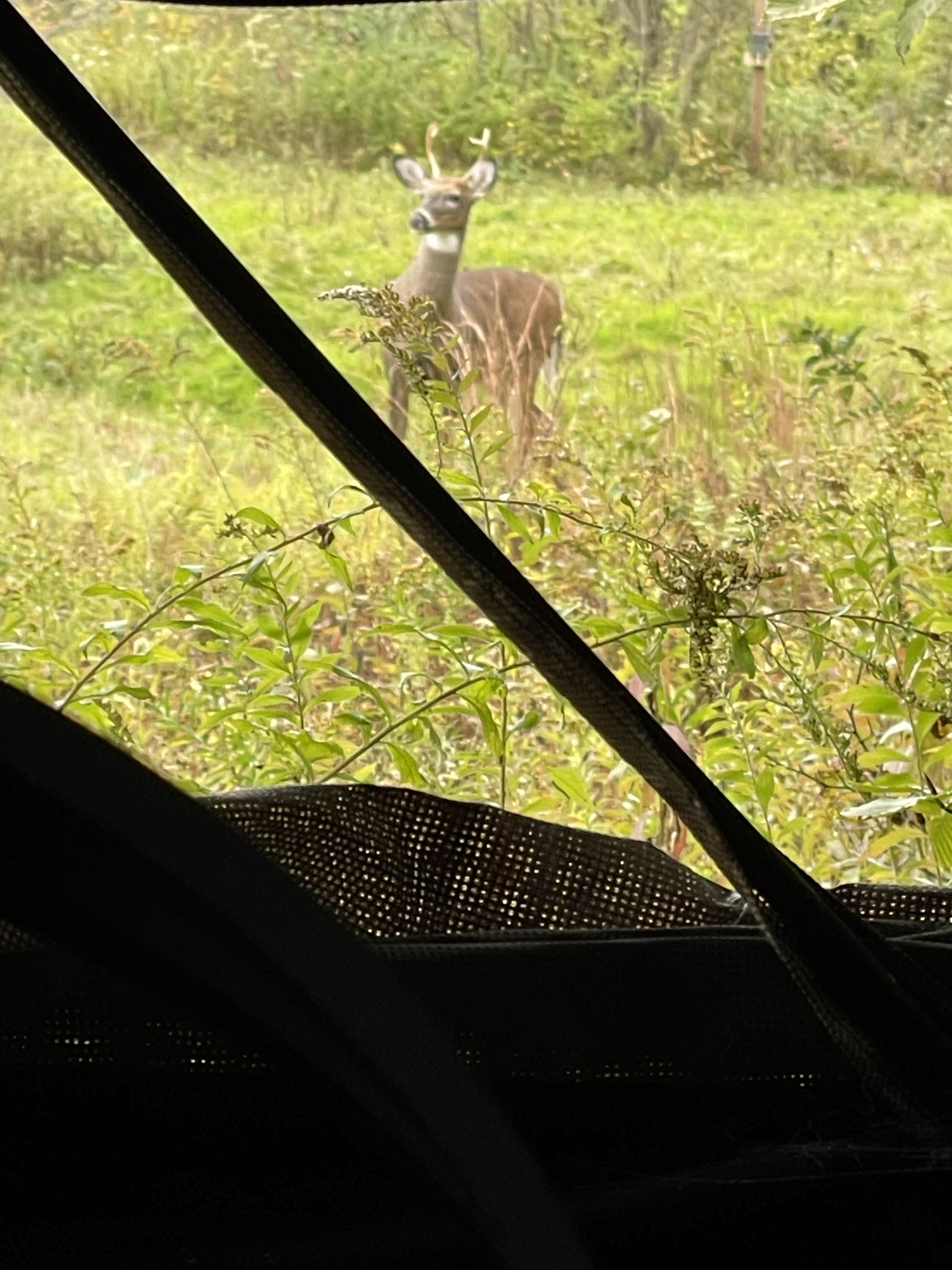 2022-23 THE Pennsylvania Thread *** | Page 84 | Archery Talk Forum