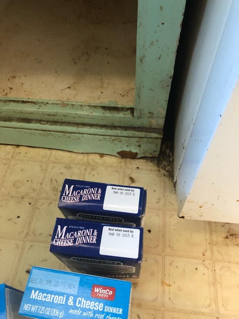 Crap Box Project | Contractor Talk - Professional Construction and ...