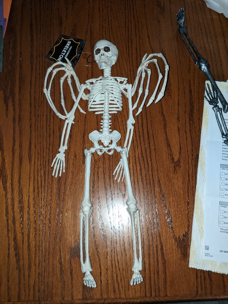 The Worst Animal Skeleton | Page 2 | Halloween Forum