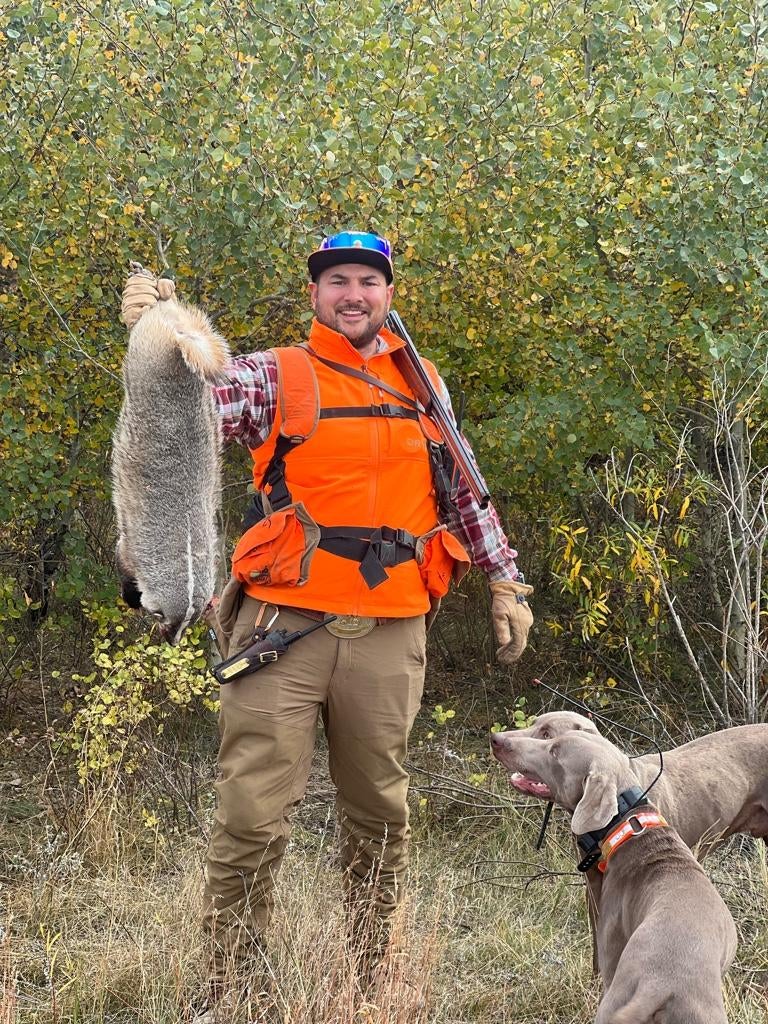 Sharptail Hunting / Badger | Missouri Whitetails - Your Missouri ...