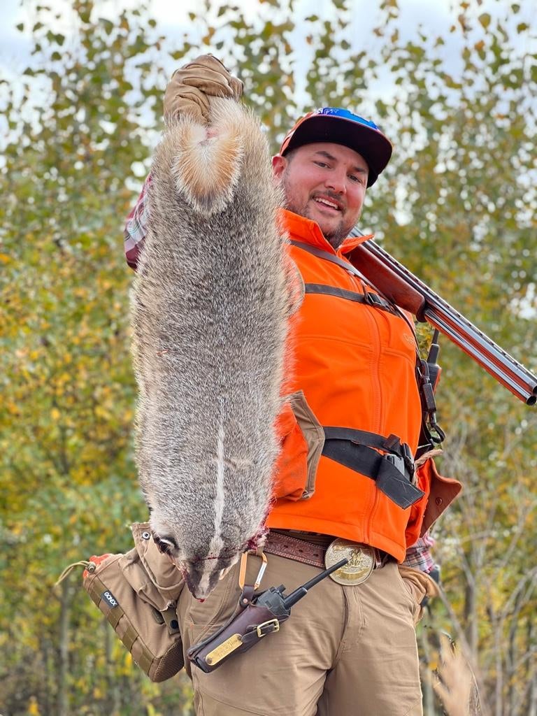 Sharptail Hunting / Badger | Missouri Whitetails - Your Missouri ...