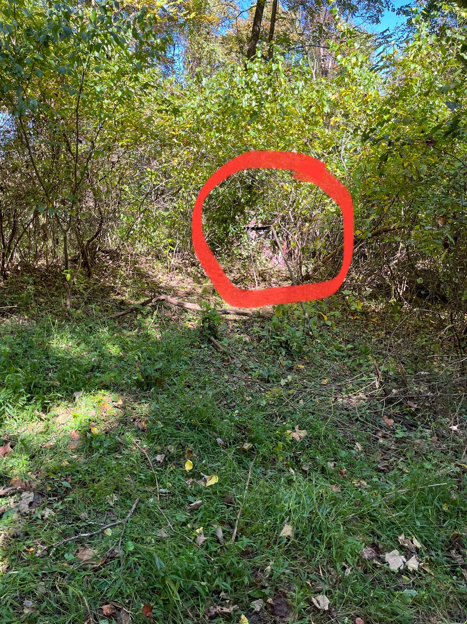 2022 Ohio Rut Update Board | Page 16 | Archery Talk Forum