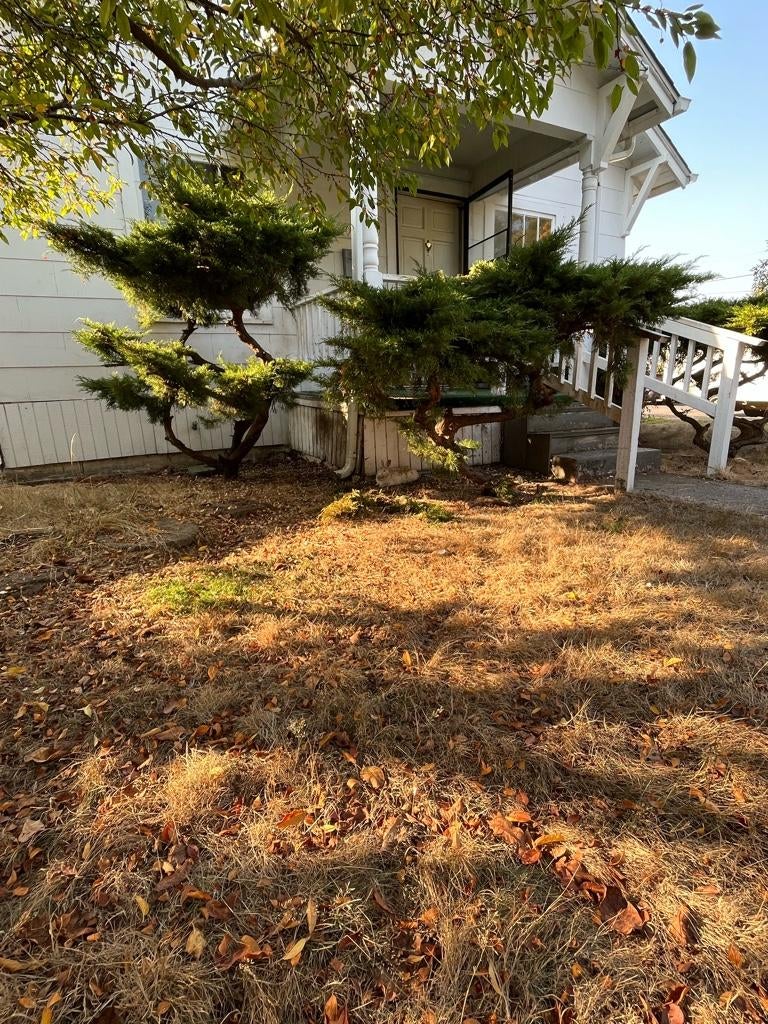 Crap Box Project | Page 6 | Contractor Talk - Professional Construction ...