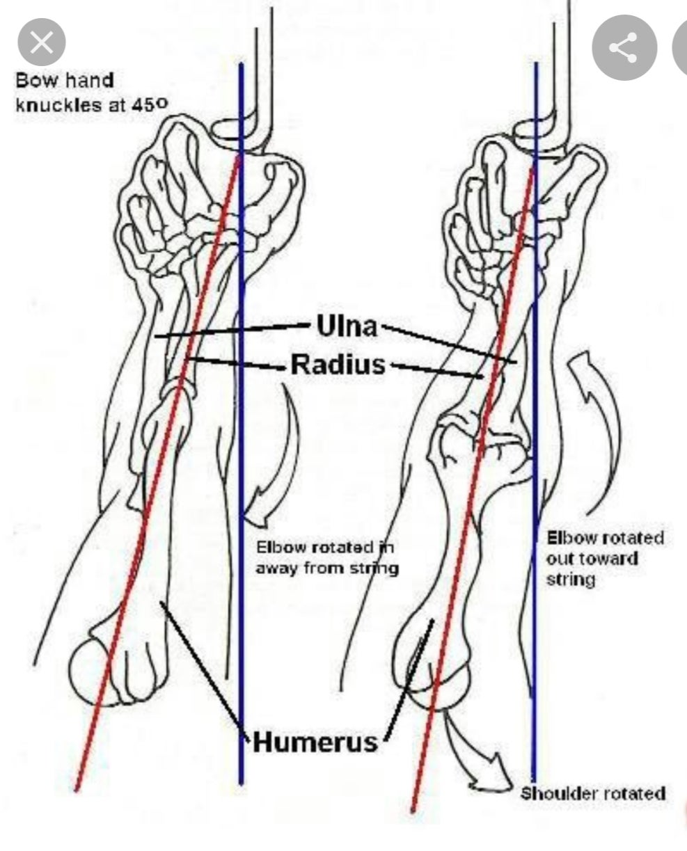 ARM GUARD | Archery Talk Forum