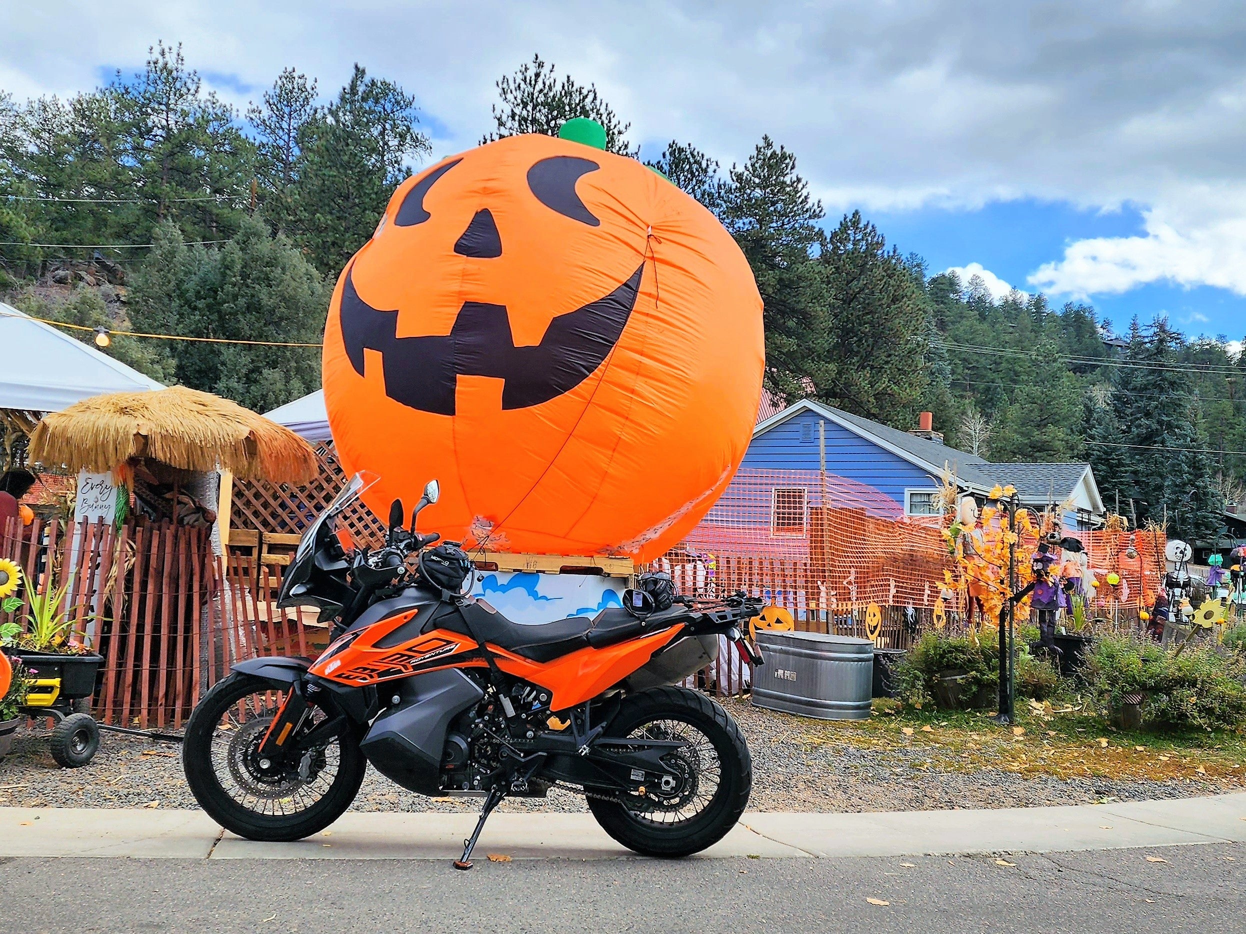 2022 - October KTM of the Month | KTM Forums