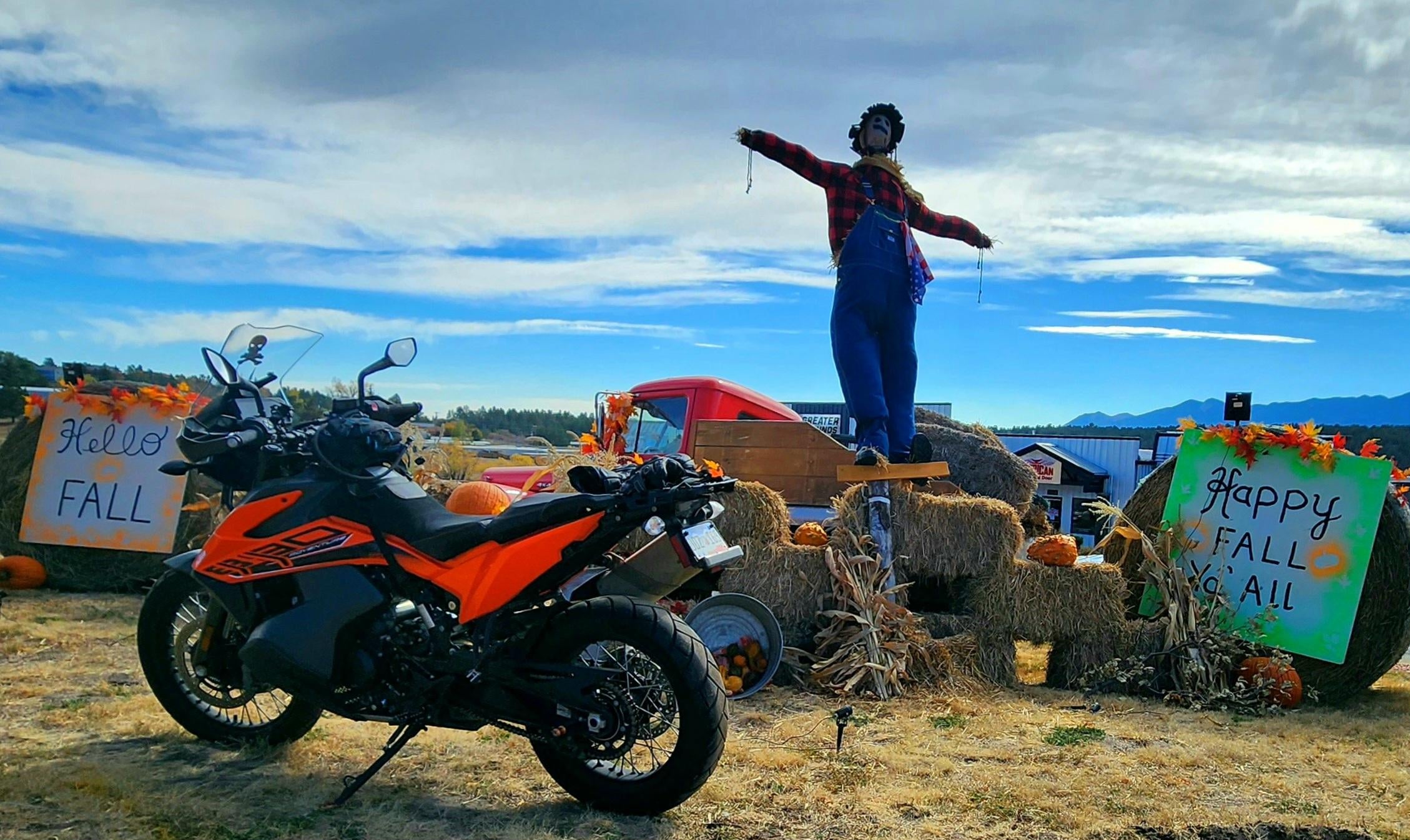 2022 - October KTM of the Month | KTM Forums