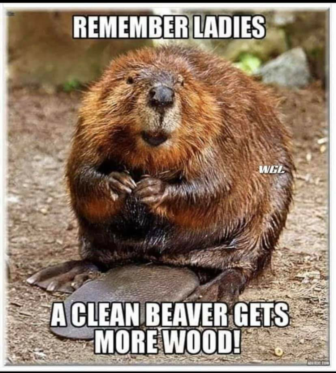 Pounded neighbor lady's beaver | Page 16 | Trapshooters Forum