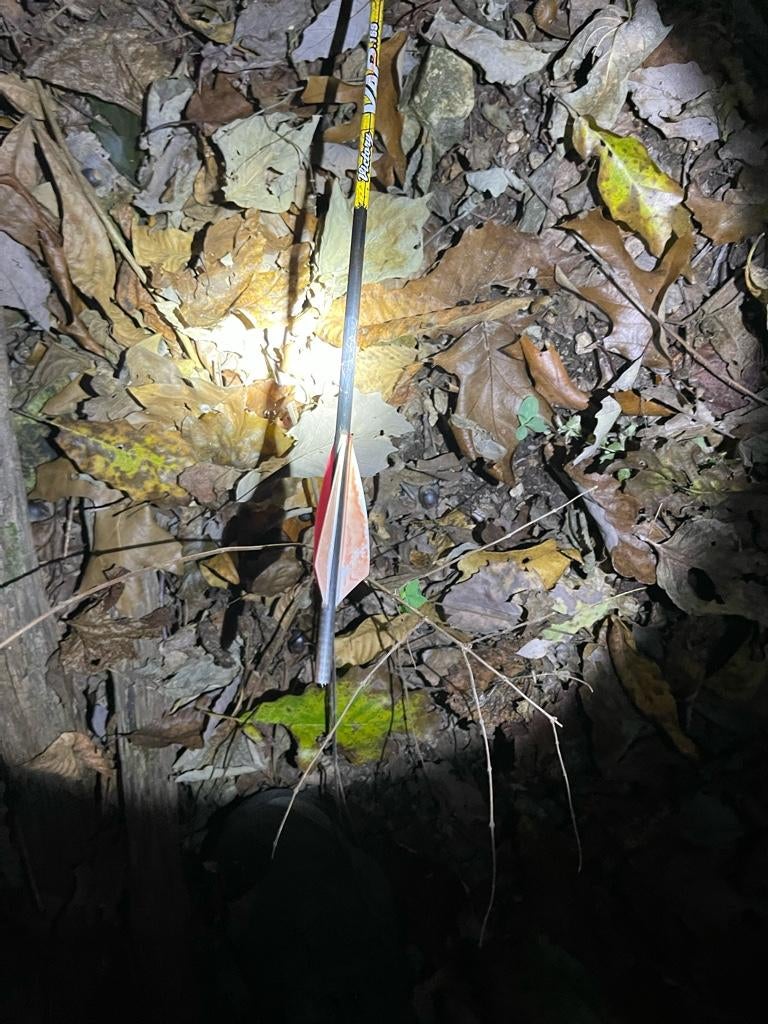 2022 Compound Bow Kill Results Study | Page 3 | Archery Talk Forum