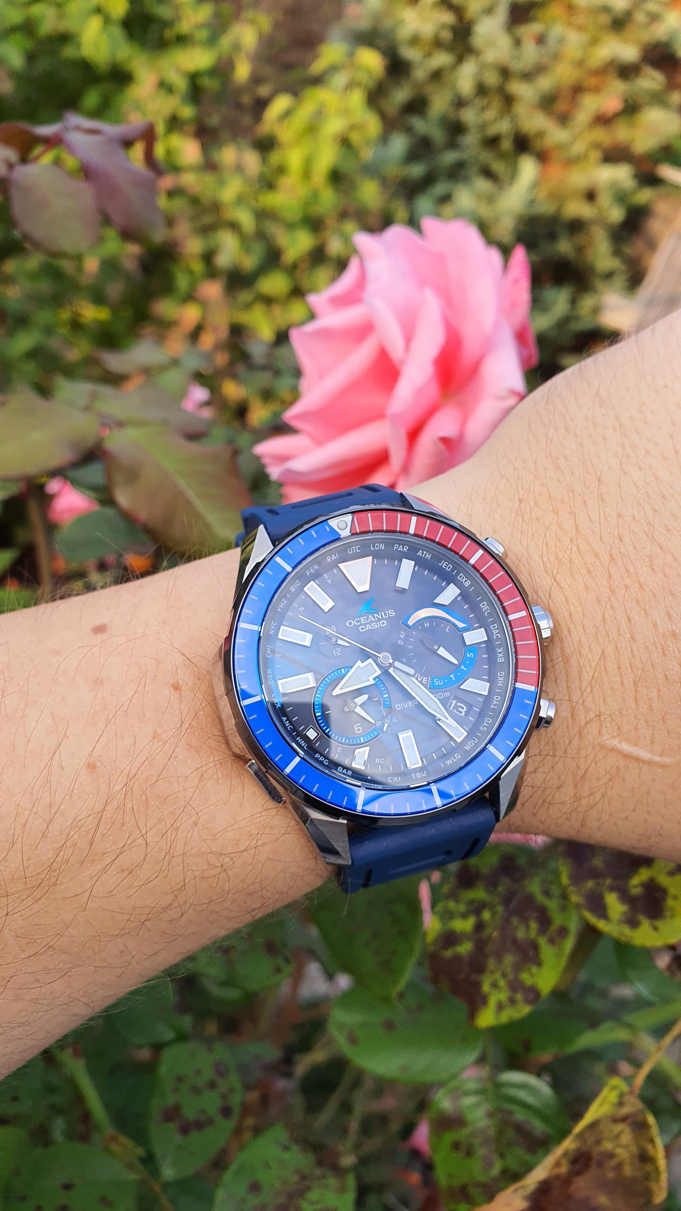 Show me your Quartz Divers | Page 2 | WatchUSeek Watch Forums