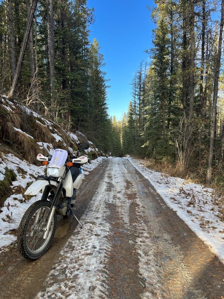 DR350 Thread | Page 3384 | Adventure Rider