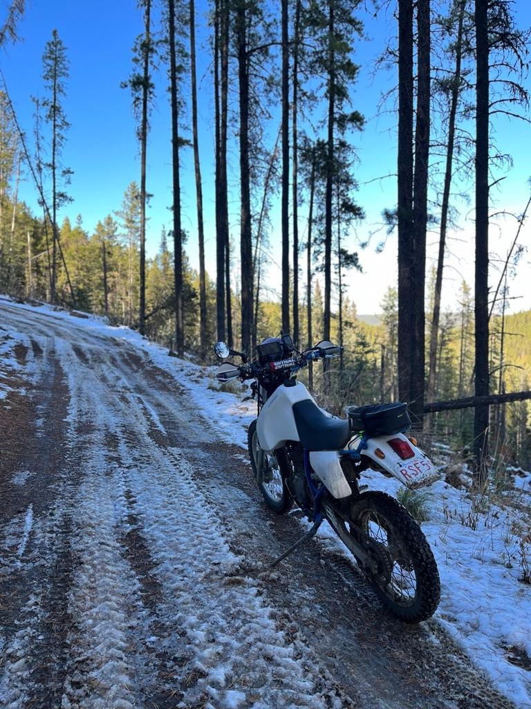 DR350 Thread | Page 3384 | Adventure Rider